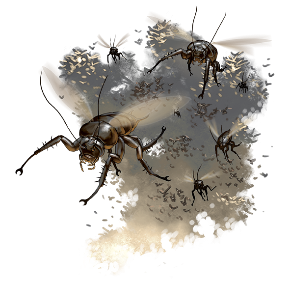 Insectoids Monster Compendium